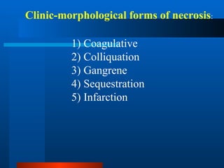 metabolic disorders blood disease pathology anatomy.ppt