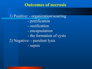 metabolic disorders blood disease pathology anatomy.ppt