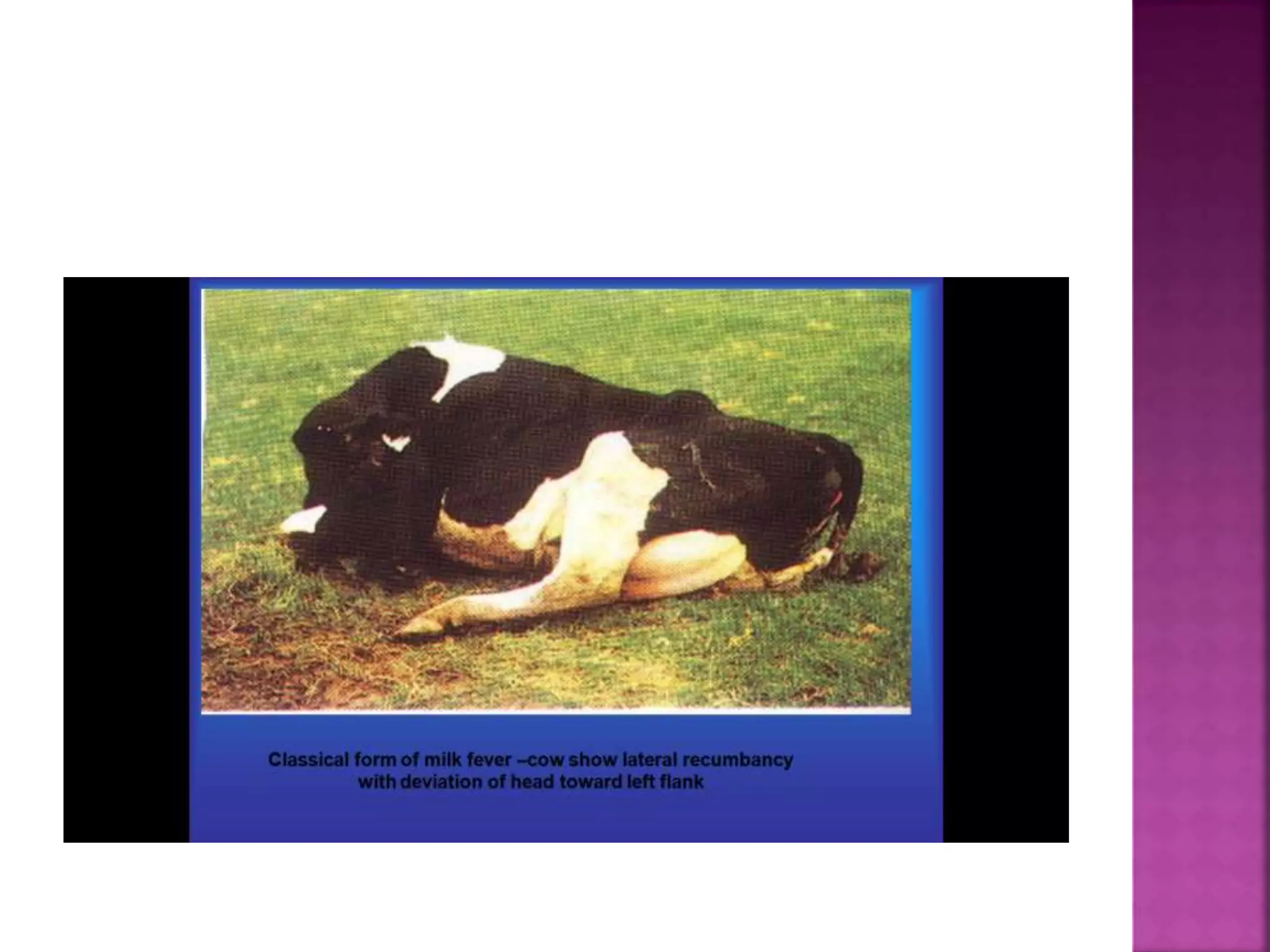 Metabolic disorders in dairy animals | PPTX