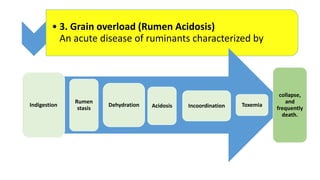 Metabolic disorders of cow by DVM student Hamza Jawad | PPTX ...