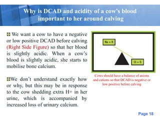 Metabolic Disorders of Dairy Cow.pdf.... | PDF