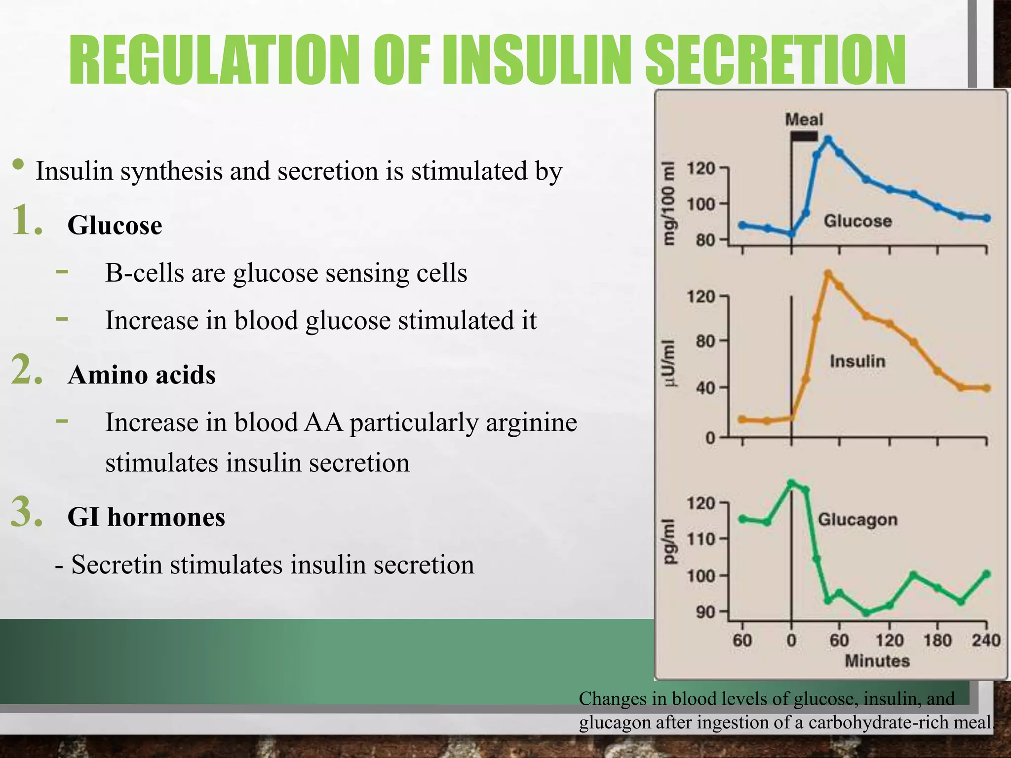 Metabolic effect of insulin and glucagon | PPTX
