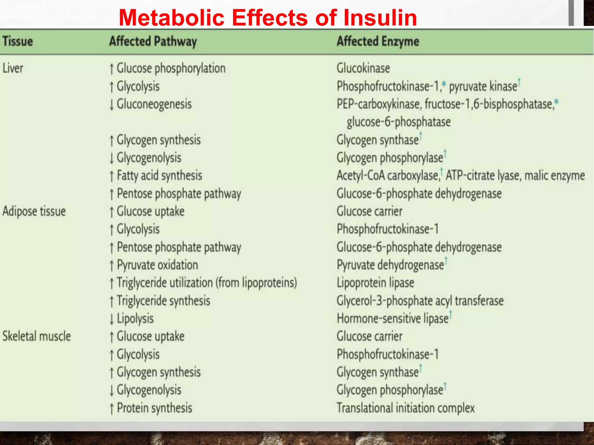 Metabolic effect of insulin and glucagon | PPTX
