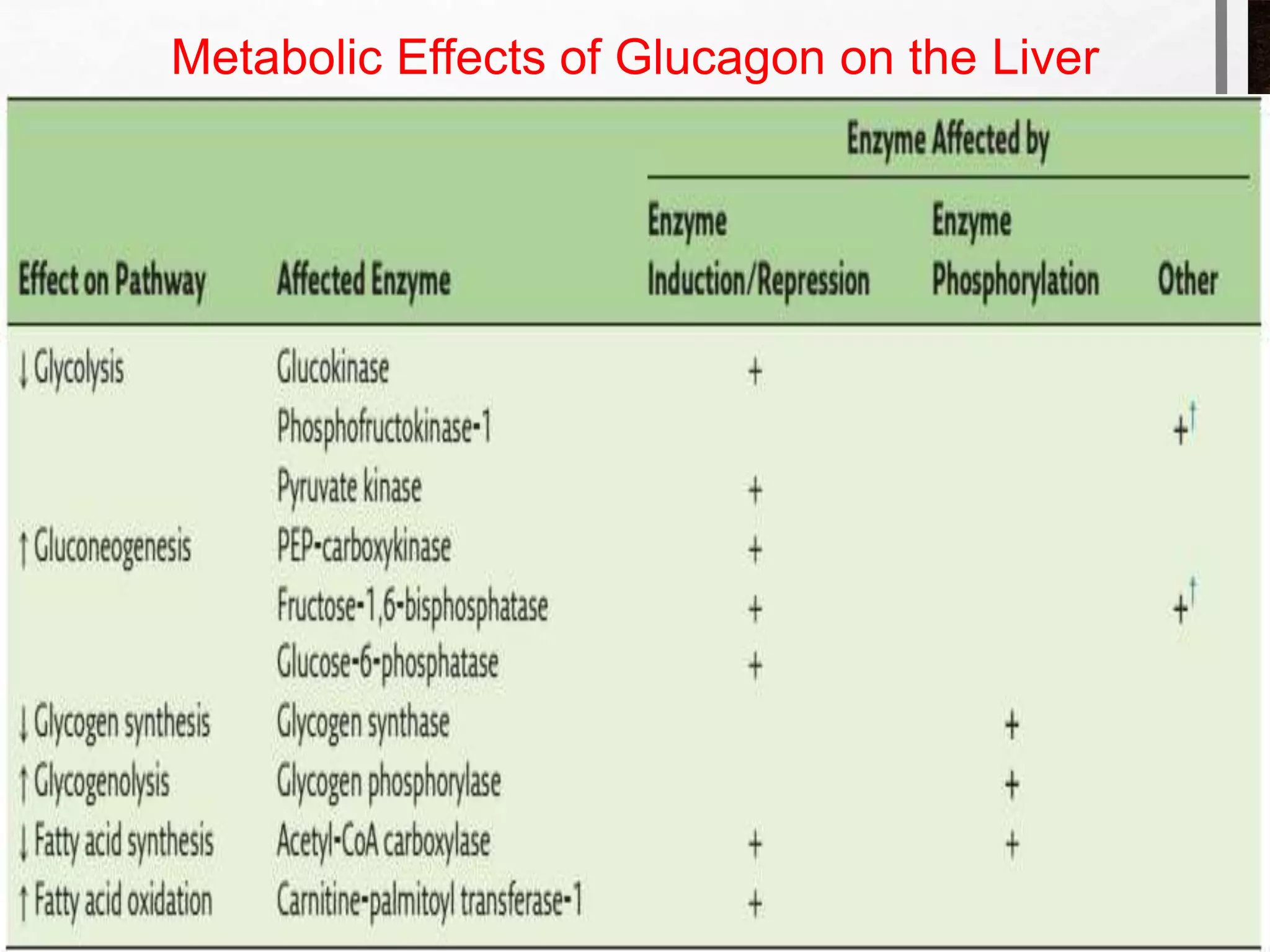 Metabolic effect of insulin and glucagon | PPTX