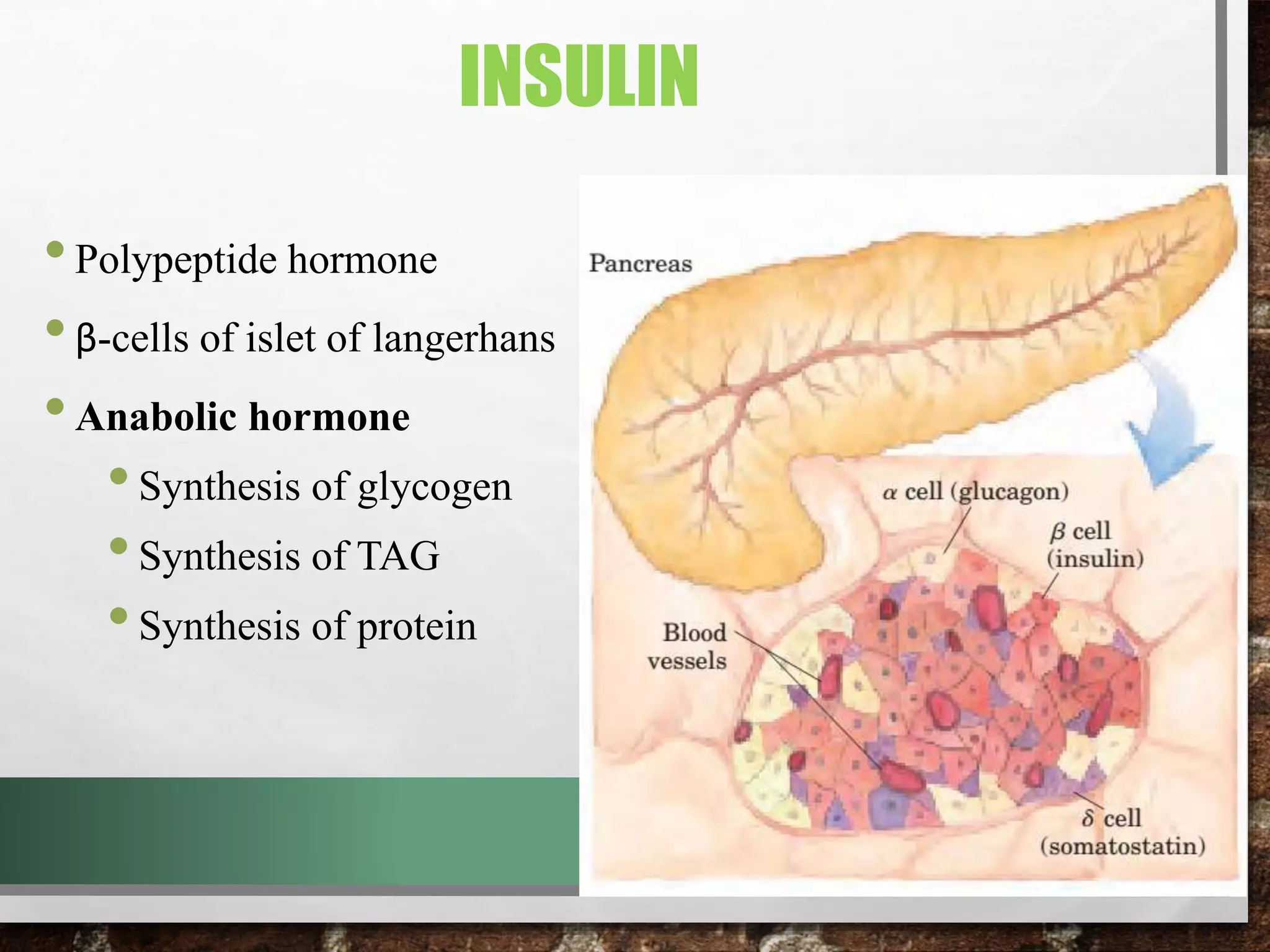 Metabolic effect of insulin and glucagon | PPTX