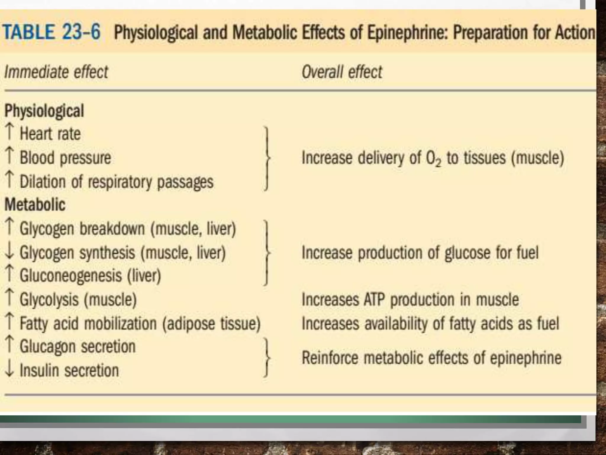 Metabolic effect of insulin and glucagon | PPTX