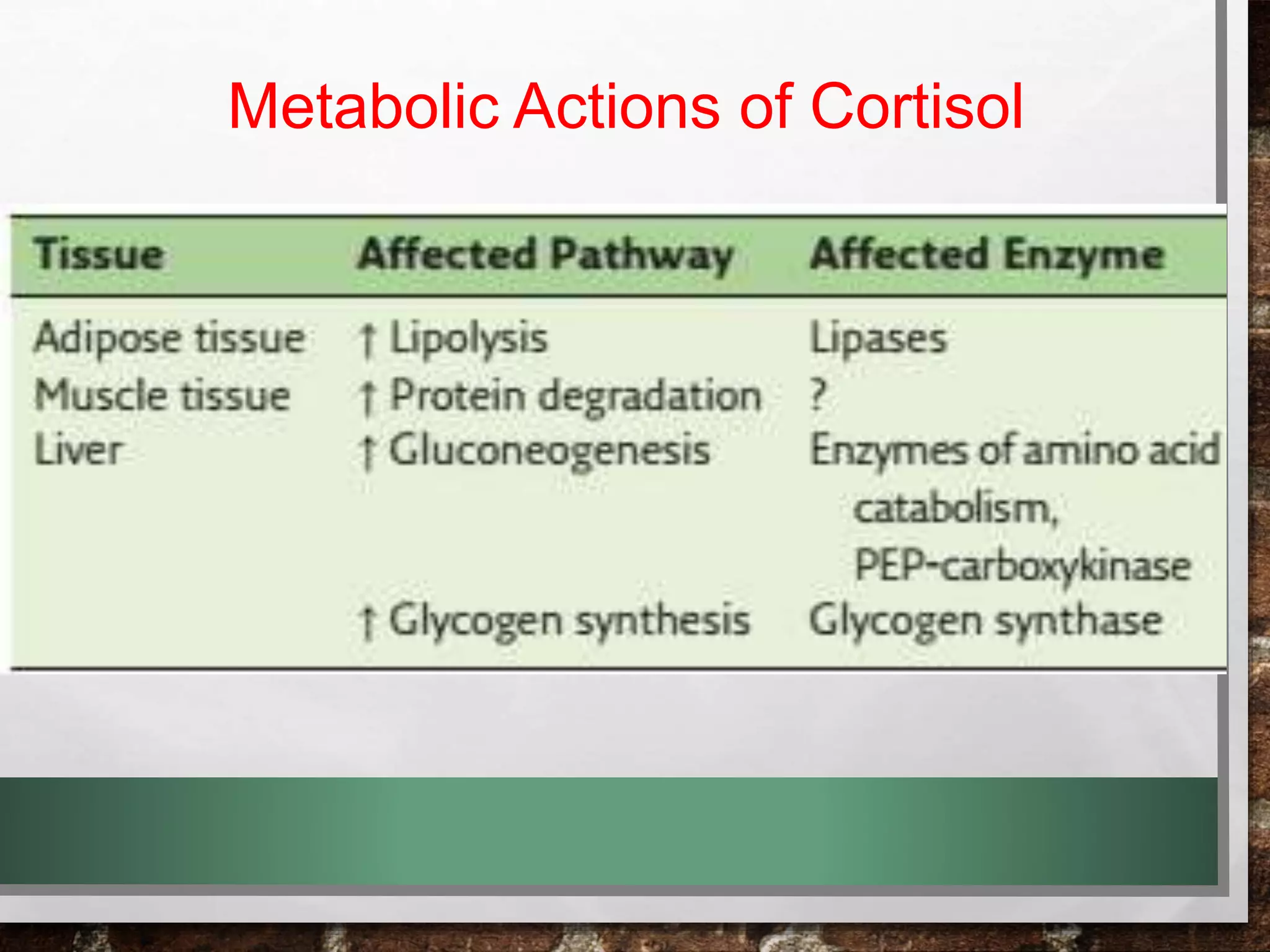 Metabolic effect of insulin and glucagon | PPTX