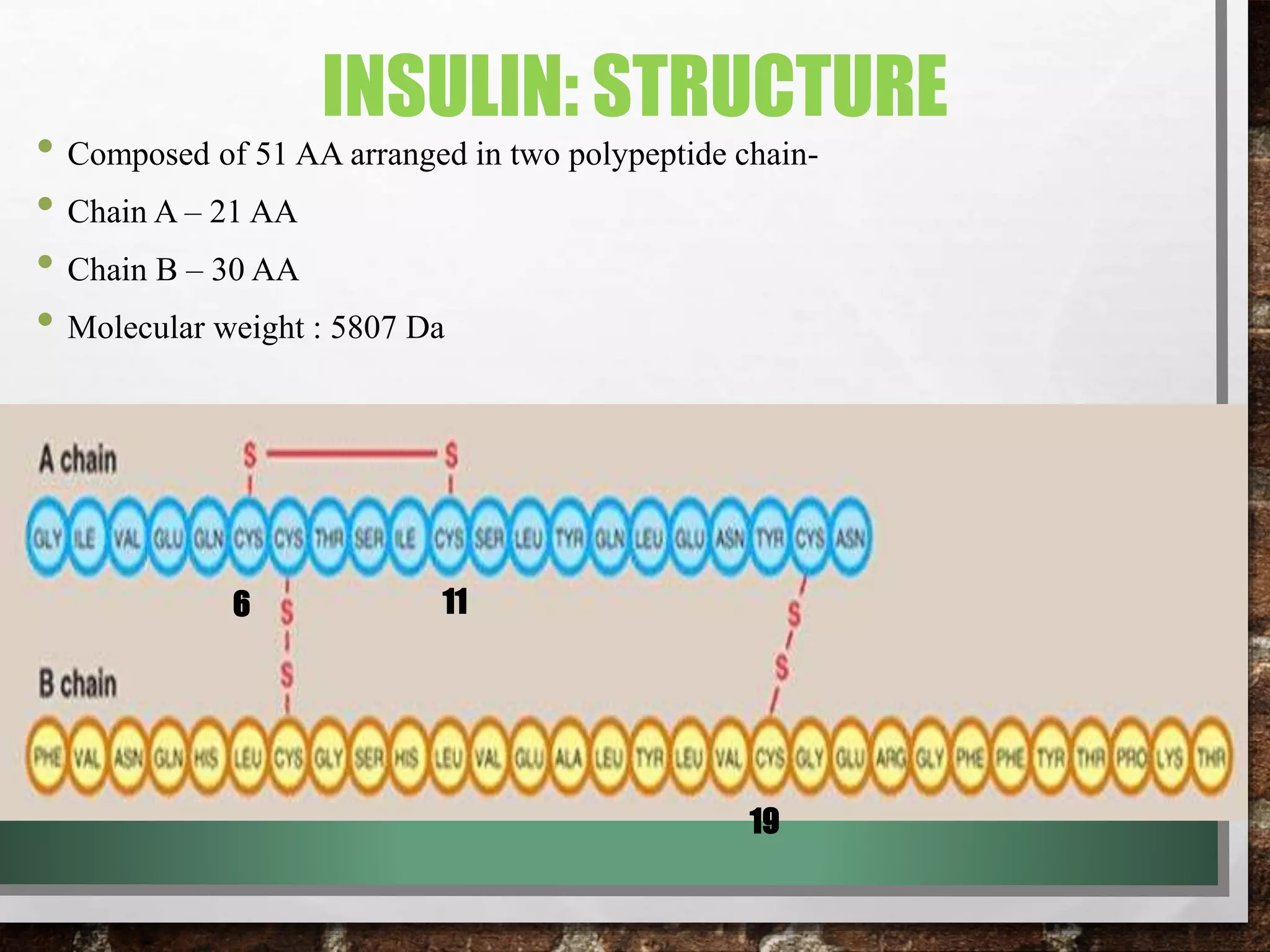 Metabolic effect of insulin and glucagon | PPTX