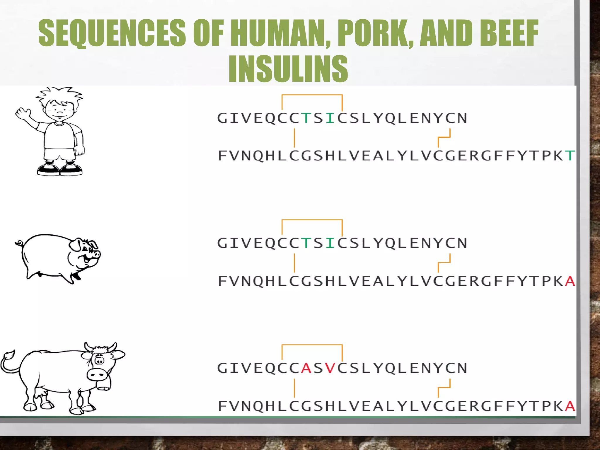 Metabolic effect of insulin and glucagon | PPTX