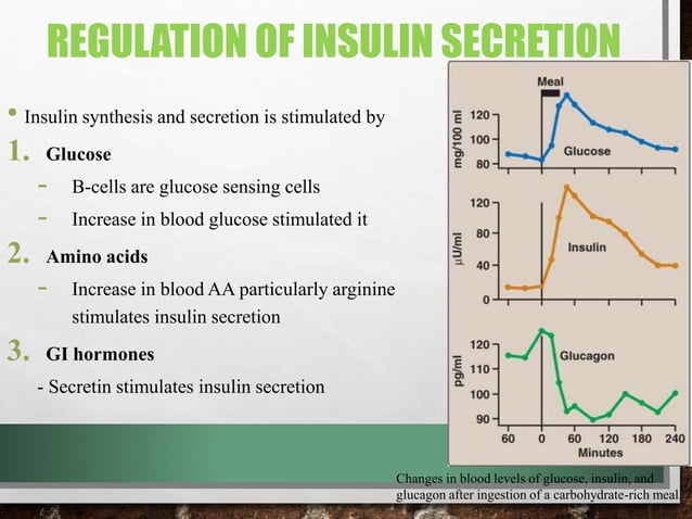 Metabolic effect of insulin and glucagon | PPTX | Endocrine and ...