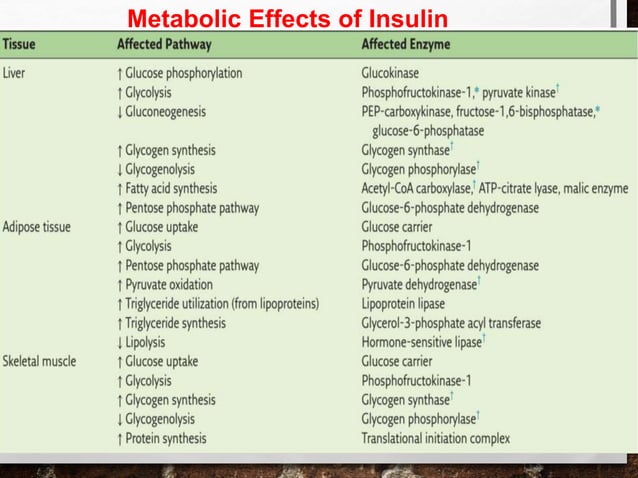 Metabolic effect of insulin and glucagon | PPTX | Endocrine and ...