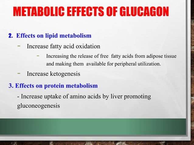 Metabolic effect of insulin and glucagon | PPTX | Endocrine and ...