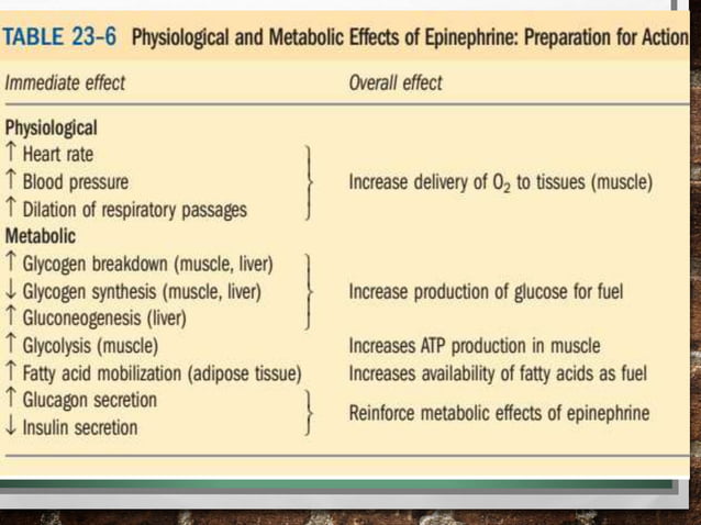 Metabolic effect of insulin and glucagon | PPTX | Endocrine and ...