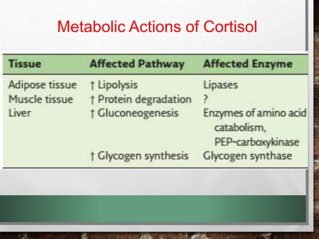 Metabolic effect of insulin and glucagon | PPTX | Endocrine and ...