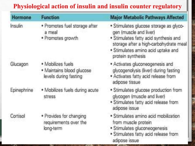 Metabolic effect of insulin and glucagon | PPTX | Endocrine and ...