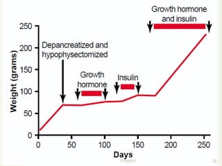 Metabolic effect of pancreatic hormones,insulin glucagon and PPP ...