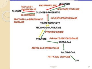 Metabolic effect of pancreatic hormones,insulin glucagon and PPP ...