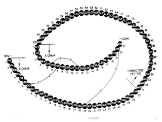 Metabolic effect of pancreatic hormones,insulin glucagon and PPP ...
