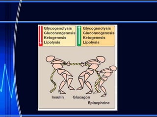 Metabolic Effects of Insulin | PDF