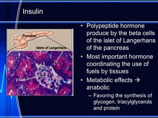 Metabolic Effects of Insulin | PDF