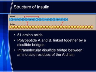 Metabolic Effects of Insulin | PDF