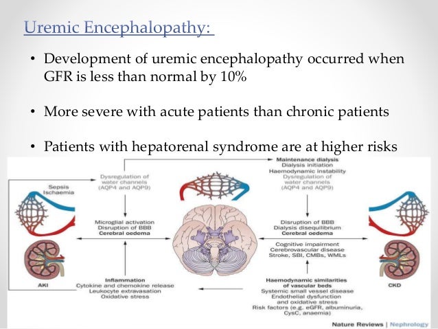 Metabolic encephalopathies 2