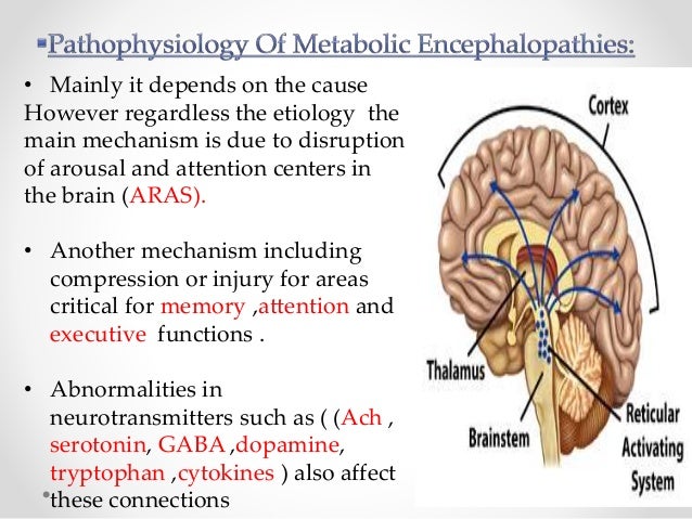 Metabolic encephalopathies 2