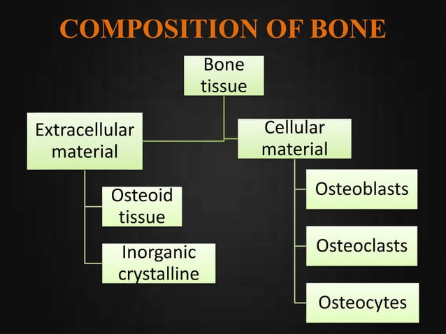 Metabolic And Endocrine Disorders Of Skeletal System Pptx 2836