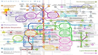 Metabolic Engineering | PPTX