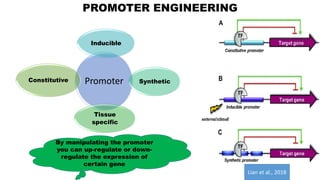 Metabolic Engineering | PPTX