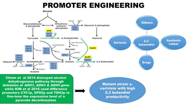Metabolic Engineering | PPTX
