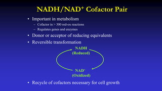Metabolic Engineering | PPTX