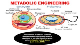 Metabolic Engineering | PPTX