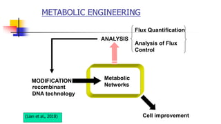 Metabolic Engineering | PPTX