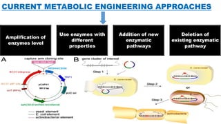 Metabolic Engineering | PPT