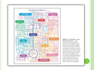 Metabolic engineering | PPTX
