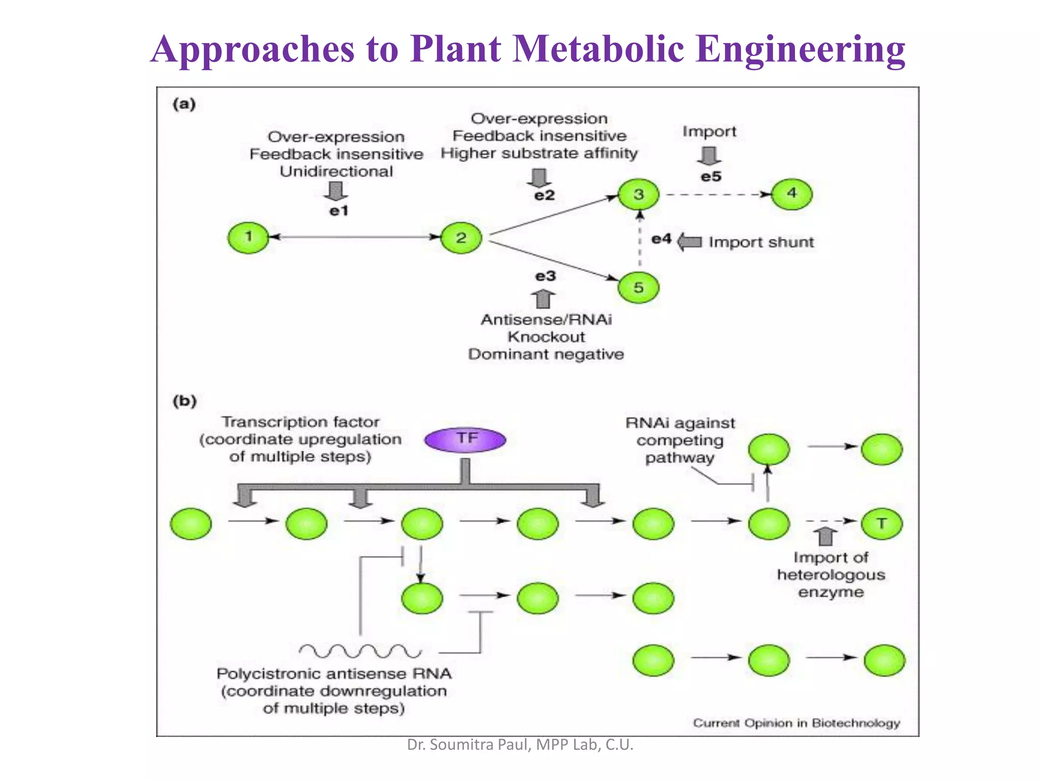 Metabolic engineering | PDF