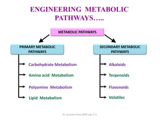 Metabolic engineering | PPT