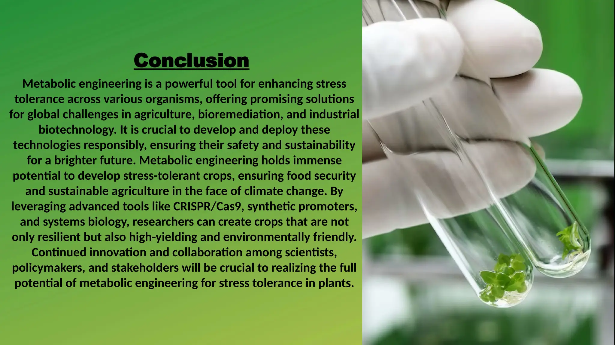 Metabolic Engineering for Stress Tolerance.pptx