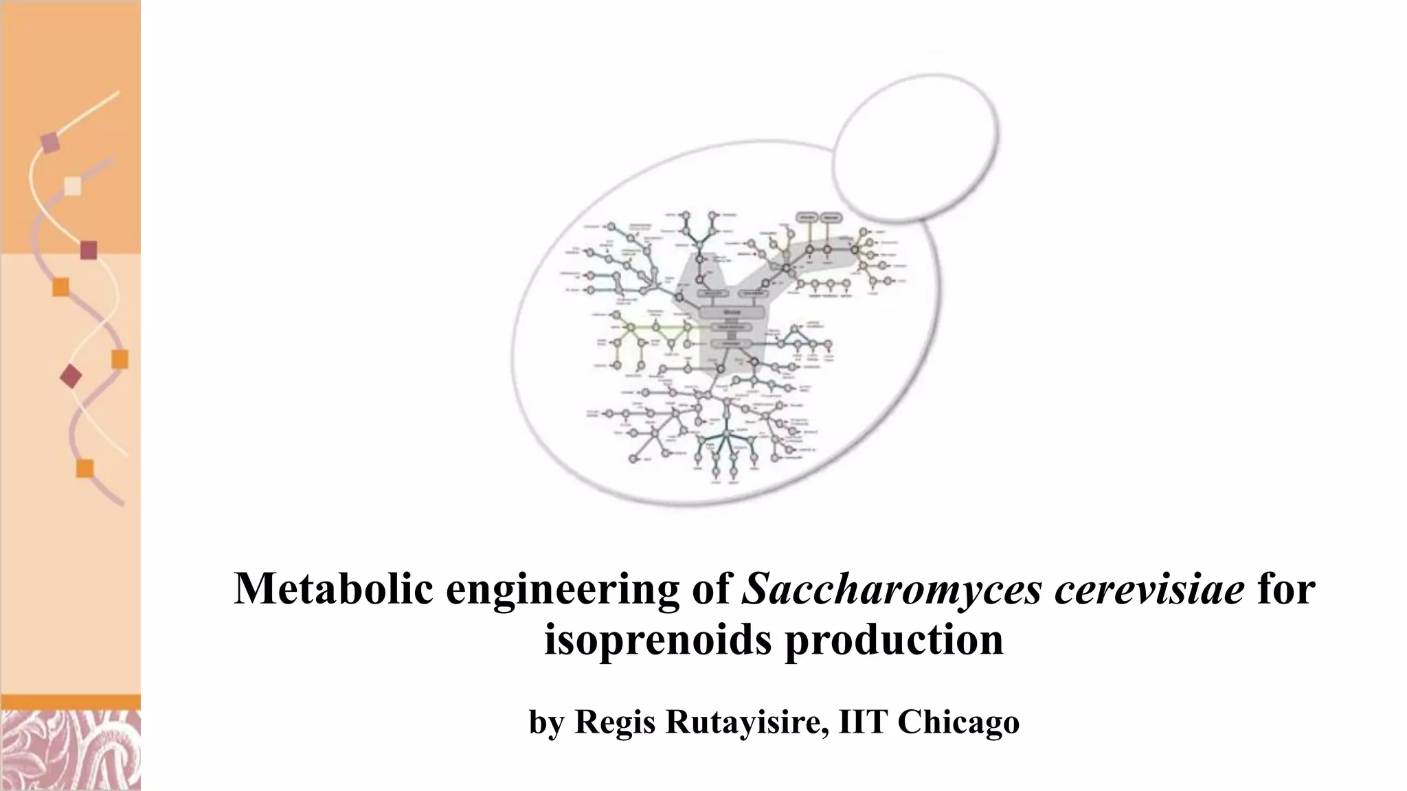 Metabolic Engineering Of Saccharomyces Cerevisiae For Isoprenoids