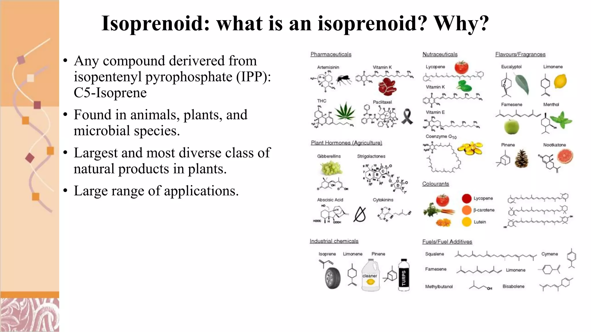 Metabolic Engineering Of Saccharomyces Cerevisiae For Isoprenoids