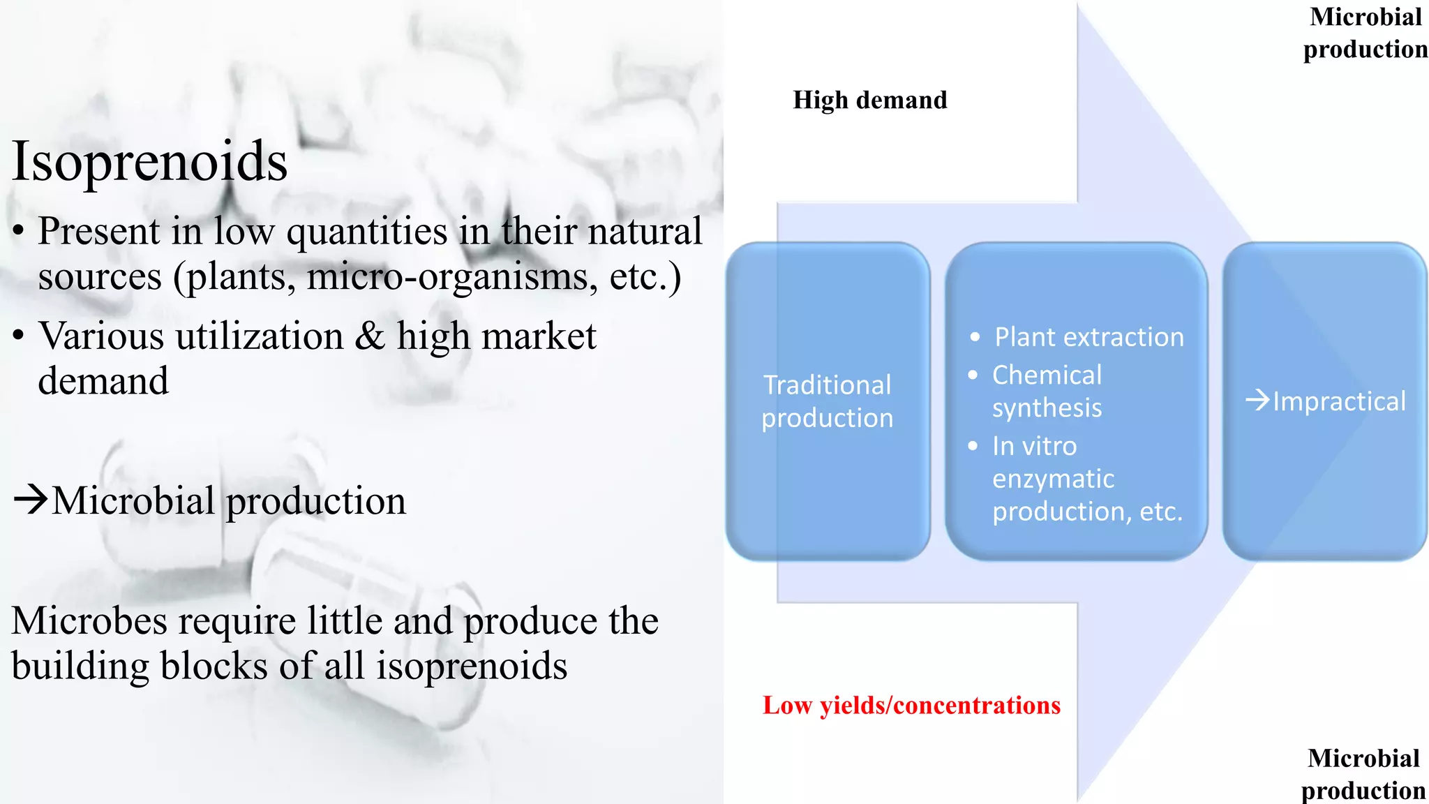 Metabolic Engineering Of Saccharomyces Cerevisiae For Isoprenoids