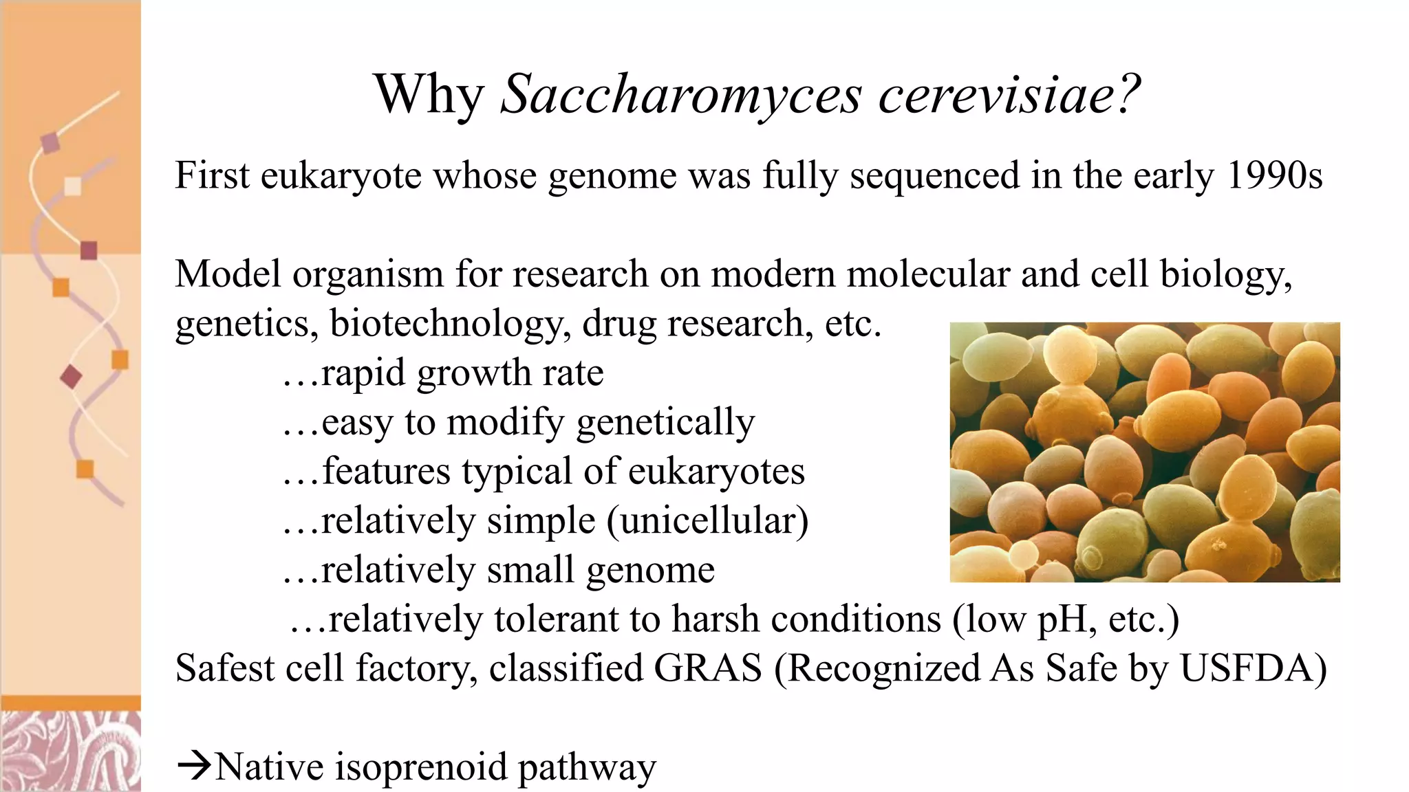Metabolic Engineering Of Saccharomyces Cerevisiae For Isoprenoids