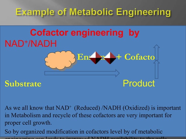 Metabolic engineering ppt | PPTX | Biotech and Biomedical Industry ...