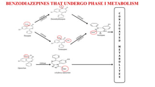 Metabolic fate of benzodiazepines and their identification | PPTX