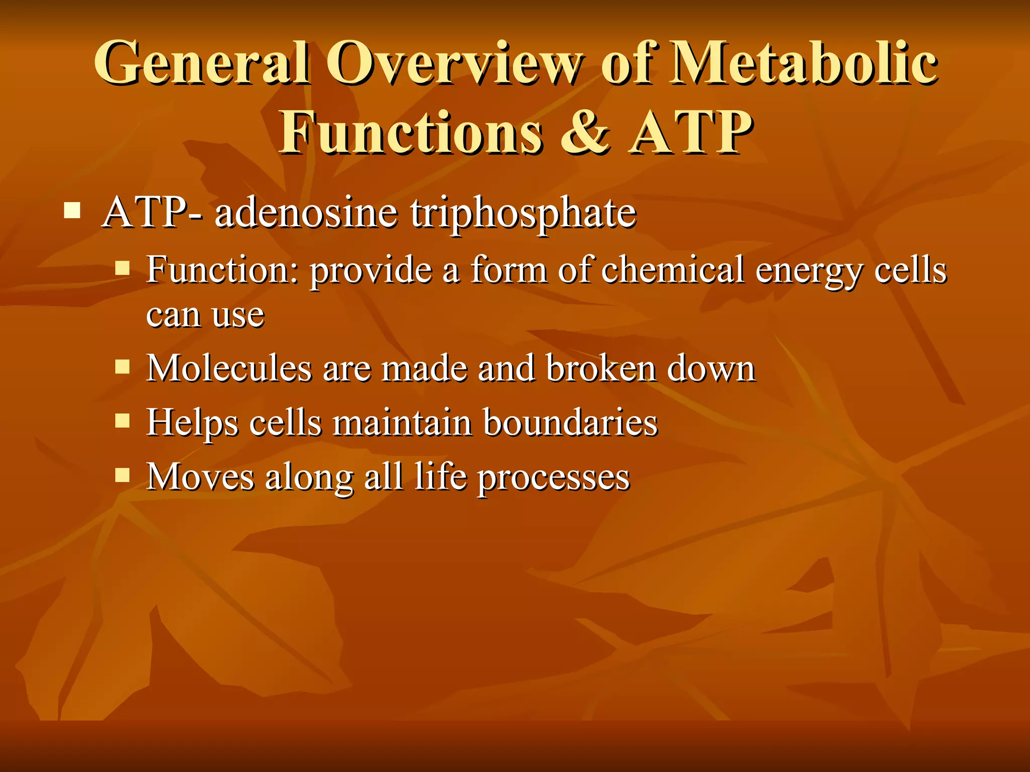 Metabolic functions | PPT