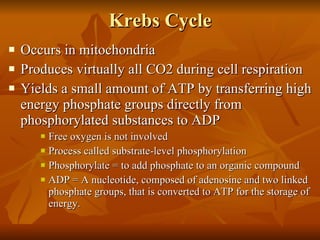Metabolic functions | PPT