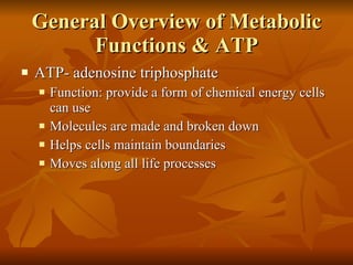 Metabolic functions | PPT