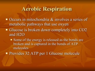 Metabolic functions | PPT