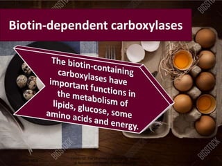 Metabolic functions of biotin | PPSX